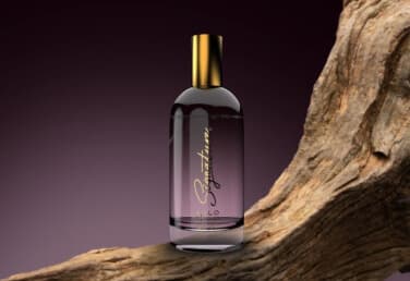 BAN GROUP OF COMPANIES