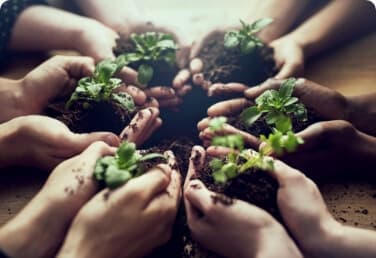 BAN GROUP OF COMPANIES